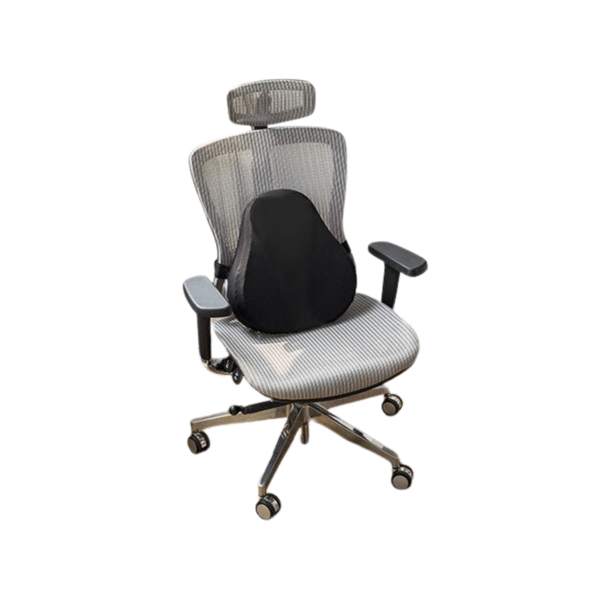 Ergonomic Equipment – Crusader AV