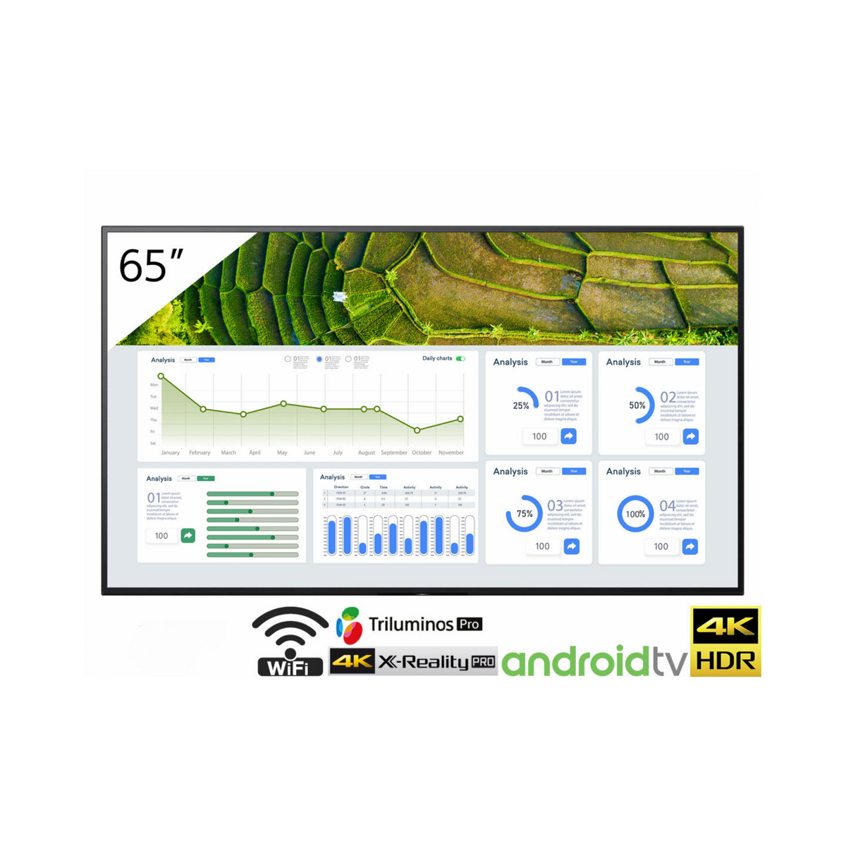 Sony BZ30L Commercial Display – Crusader AV